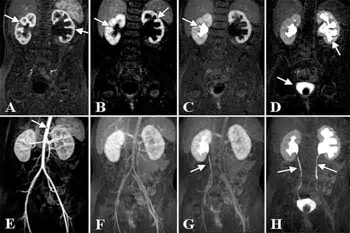 گروه تشخیصی فرجاد